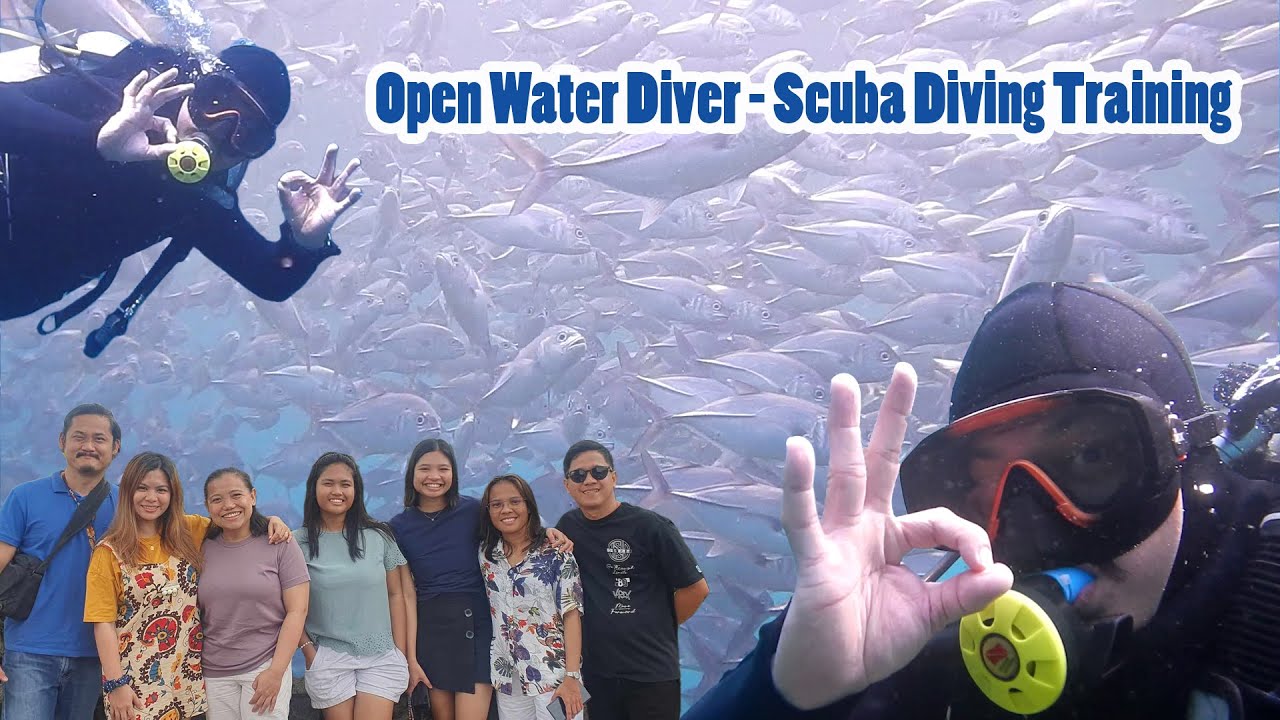 Open Water Scuba Diver Course (Scuba Diving Vlog) - YouTube