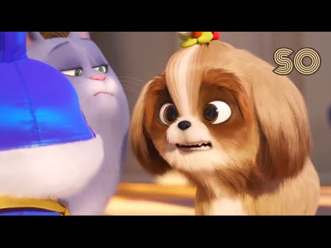 SECRET LIFES OF PETS 2: Daisy narrates the story of Hu - YouTube