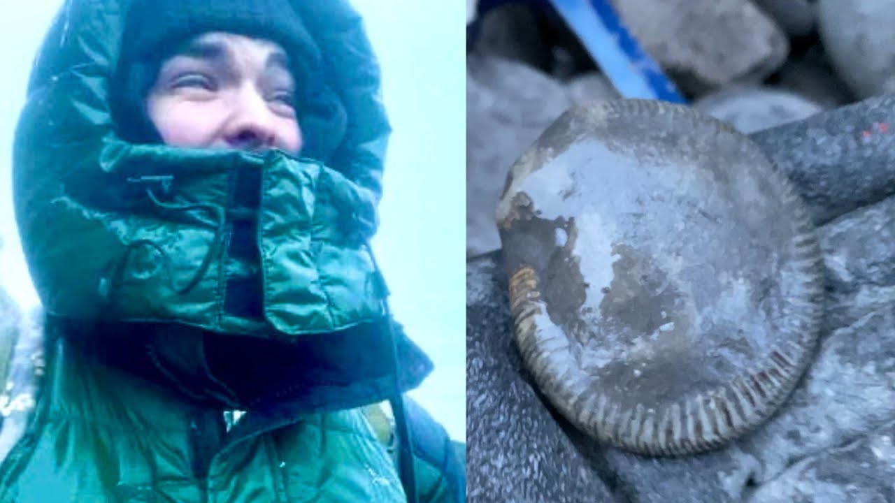 Fossil Hunter Finds Fossils In Freezing Temperatures - YouTube