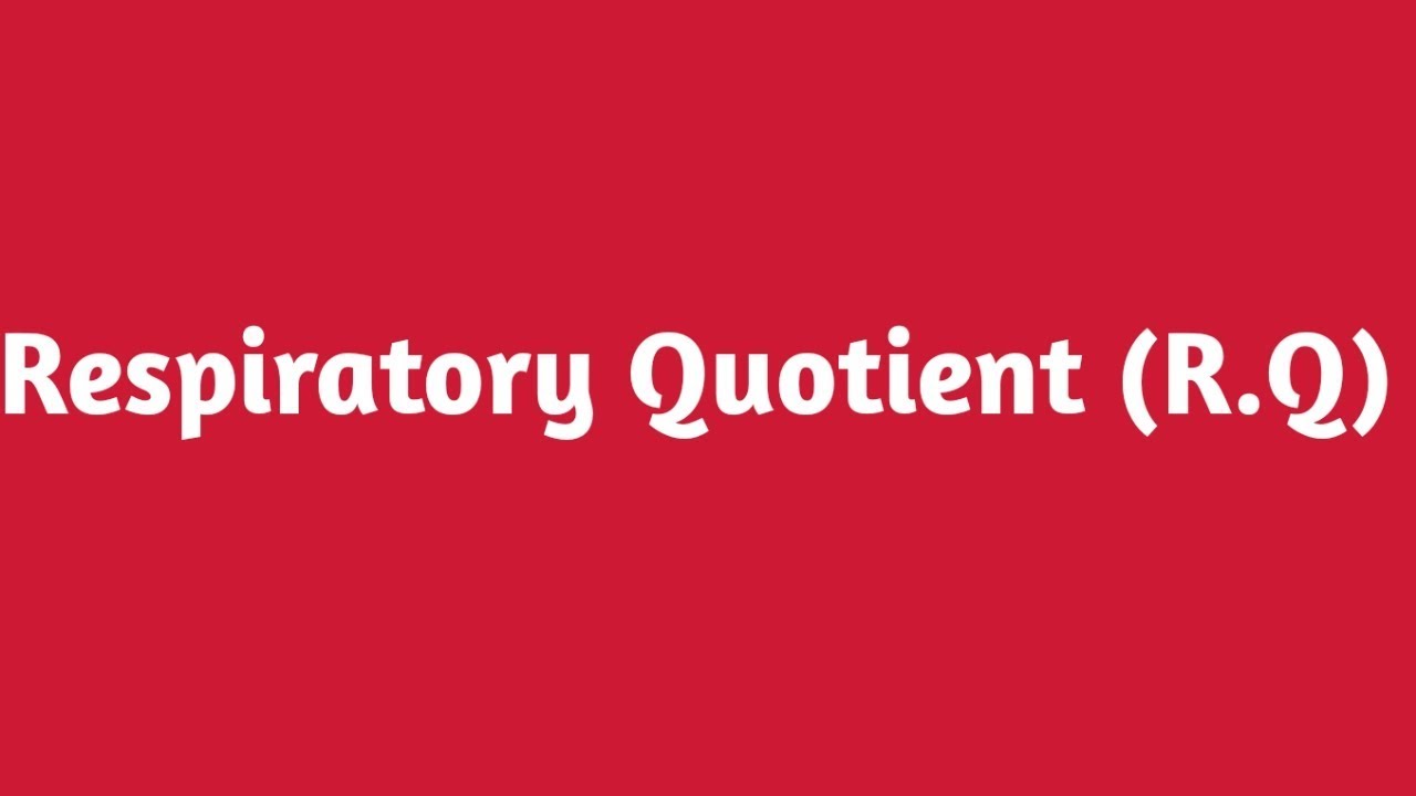 Respiratory Quotient (R.Q.) - YouTube
