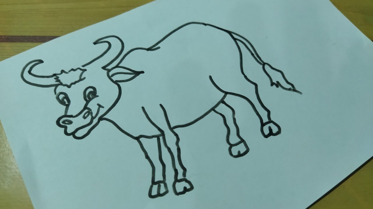 Buffalo|buffalo drawing|how to draw a buffalo easily|simple drawing ...