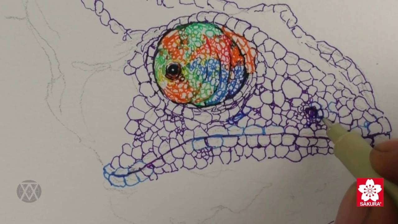 Colorful Chameleon Drawing