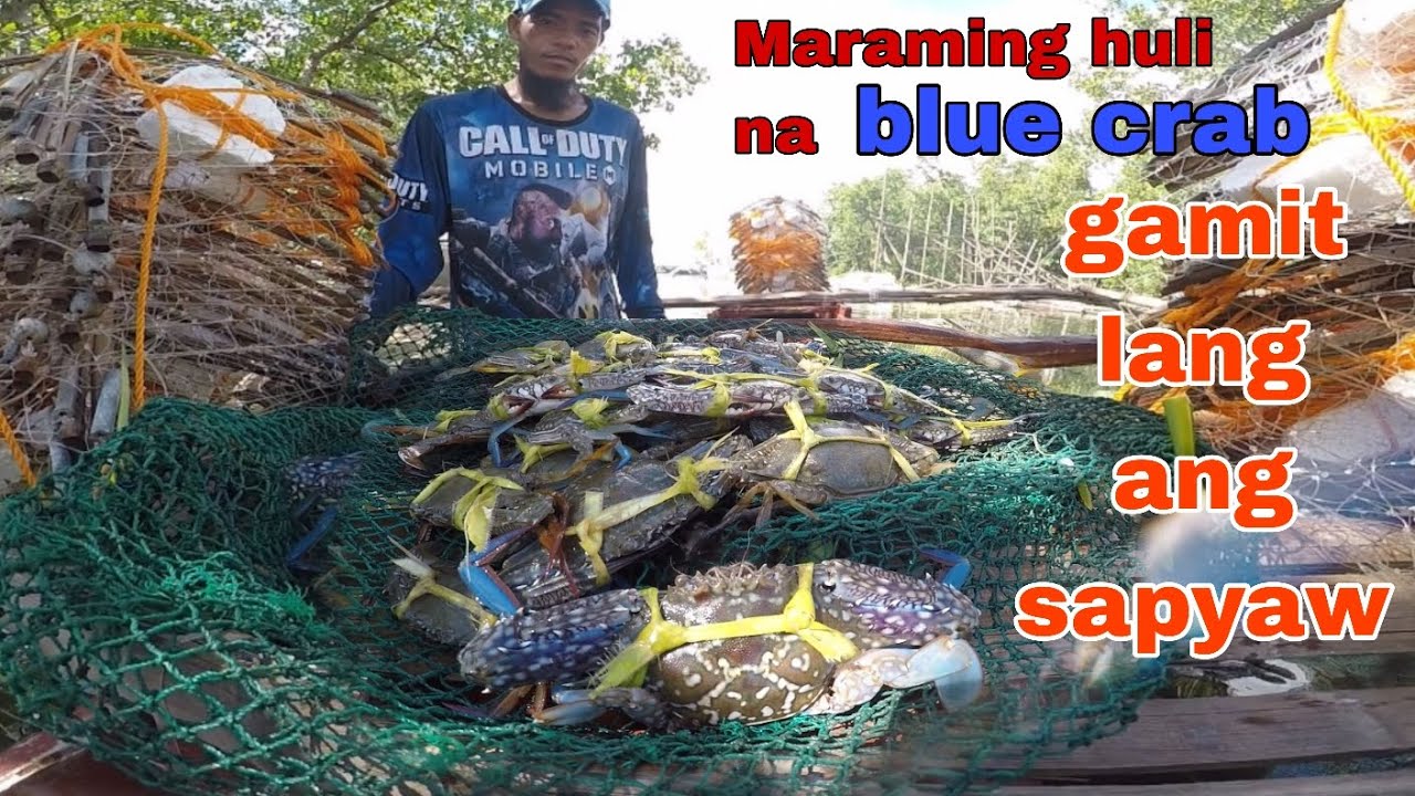 SAPYAW lang ang gamit namin sa panghuhuli ng blue crab. pook tv talibon ...