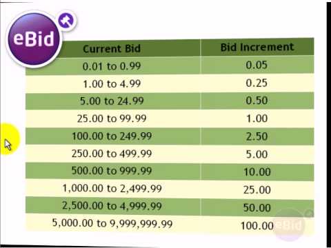 What Is A Bid Increment? - eBid How To Video - YouTube