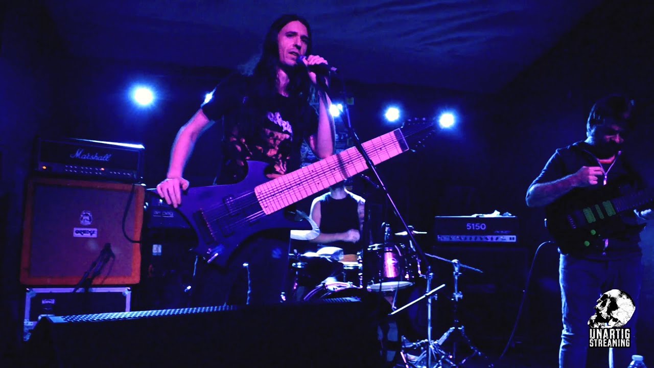 Behold... The Arctopus live in Portland 2019 - YouTube