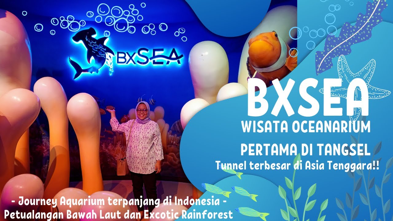 BXSEA BINTARO | TEROWONGAN AQUARIUM AIR LAUT TERBESAR DI ASIA TENGGARA ...