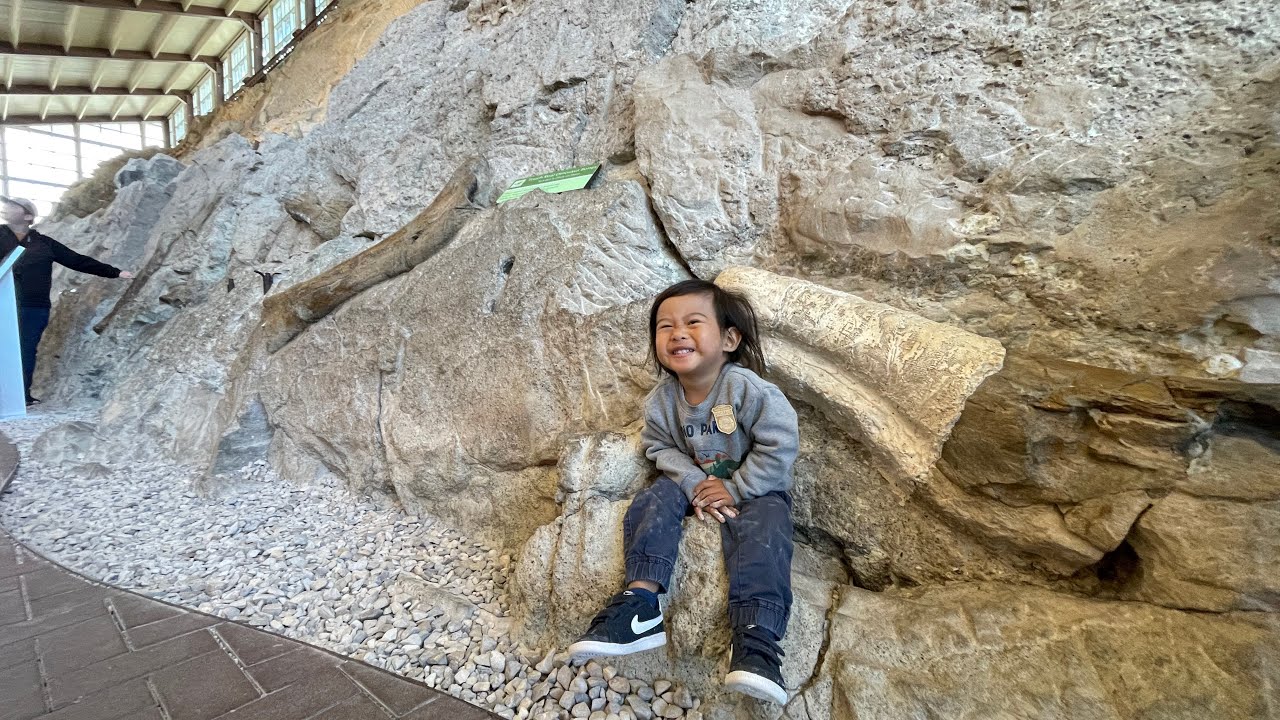 We Touched Real Dinosaur Bones at the Dinosaur National Monument | A ...
