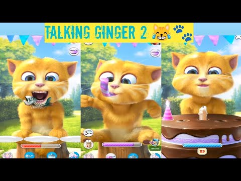 "Talking Ginger 2's Funniest Reactions! | Eating Meals & Birthday ...