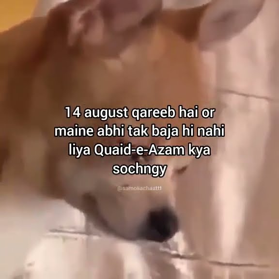 14August #independenceday #14august #quaideazam #azadi #memes # ...