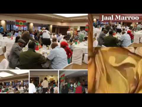 Jaal Marroo Dirribaa - YouTube