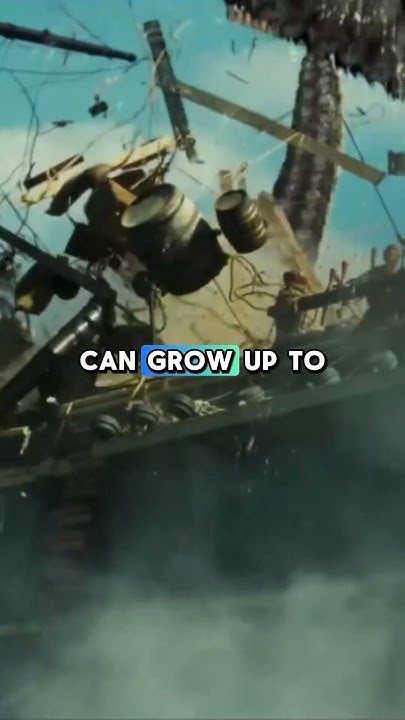 Unveiling the Kraken: Myth or Reality? 🐙 #shortvideo #subscribe #animals #kraken #facts # ...