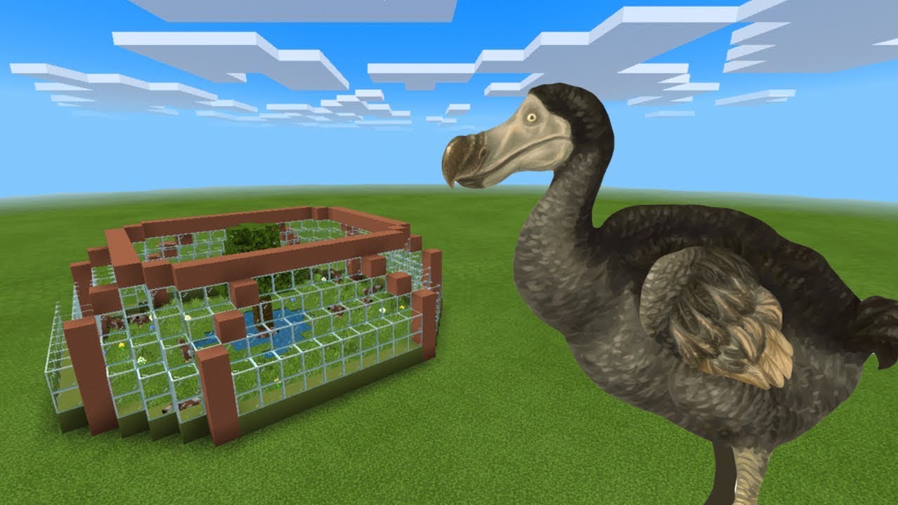 How To Make a DODO FARM in Minecraft PE - YouTube