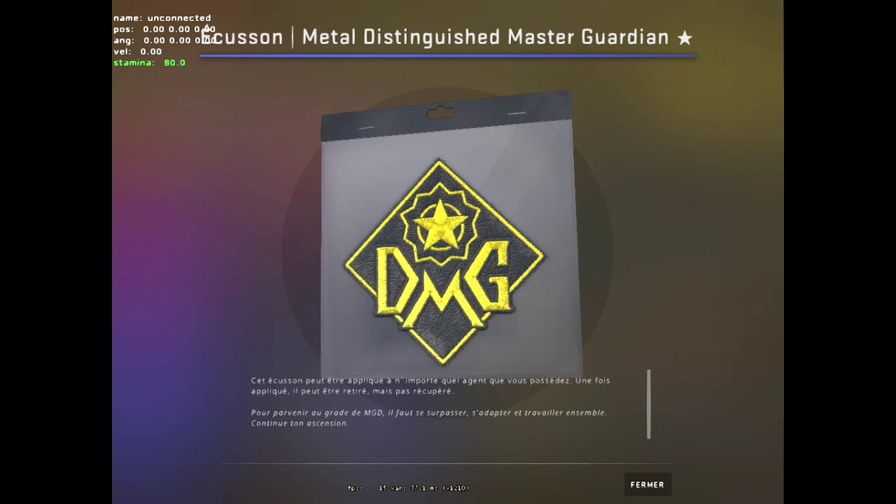 Counter Strike Global Offensive 2020 Drop Ecusson DMG - YouTube