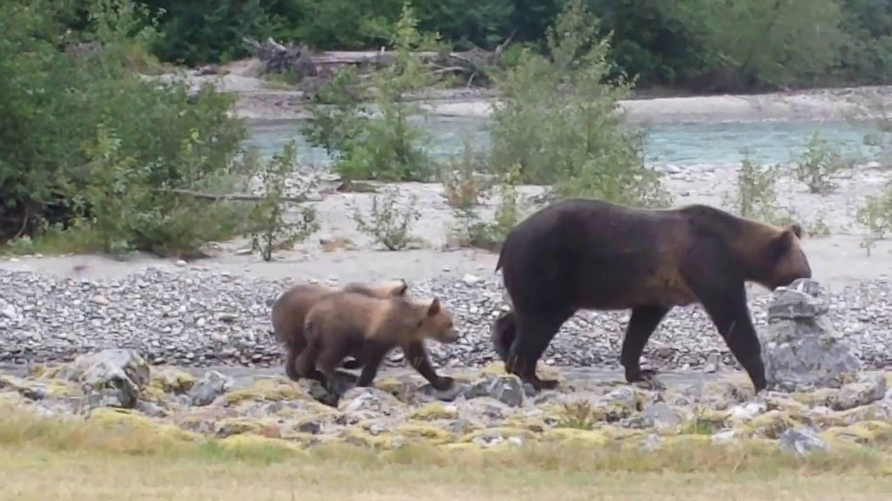 Kemano, BC - YouTube