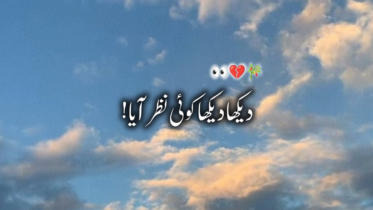 Shaukat Fehmi poetry (دیکھا دیکھا کوئی نظر آیا ) 👀😩 deep lines - YouTube