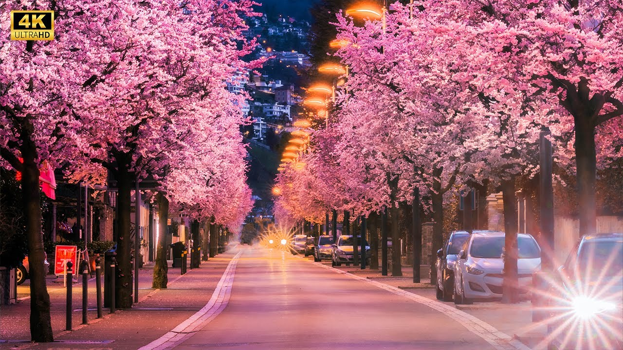 Beautiful Spring Cities