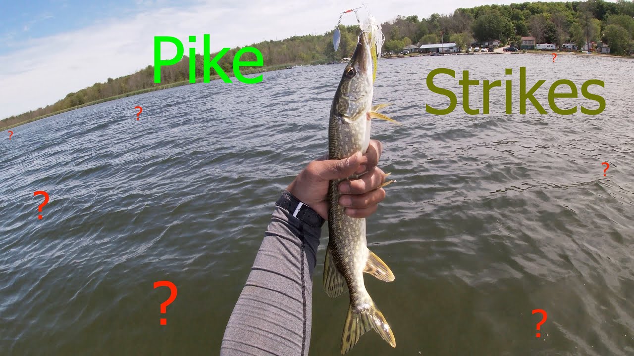 Pike fishing in Barrie, Ontario - YouTube