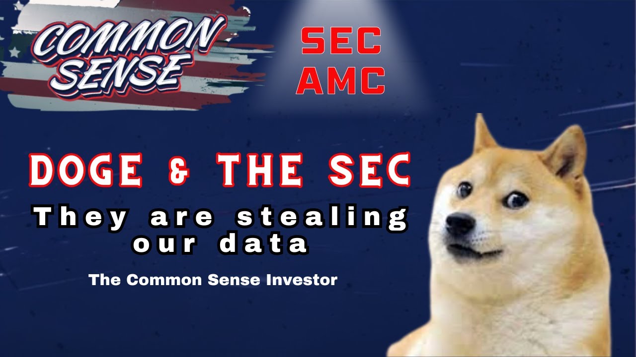 AMC DOGE vs The SEC ~ Where Do You Stand - YouTube
