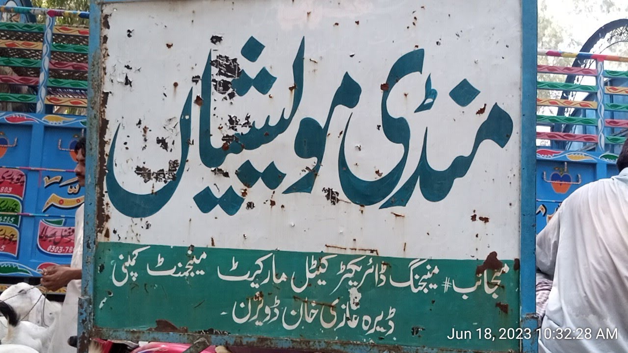 Fateh Pur Layyah Maweshi Mandi Entry Point - YouTube