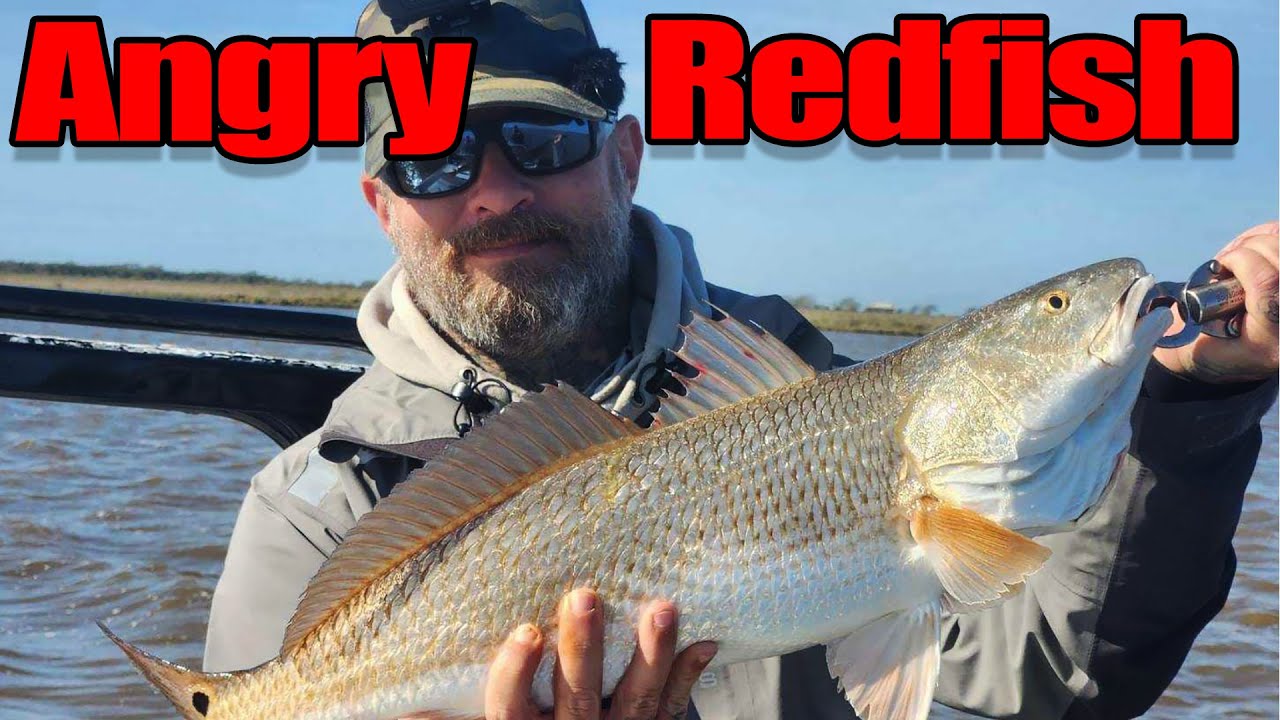 These Redfish were so ANGRY! Aggressive Redfish smashing Lures! - YouTube
