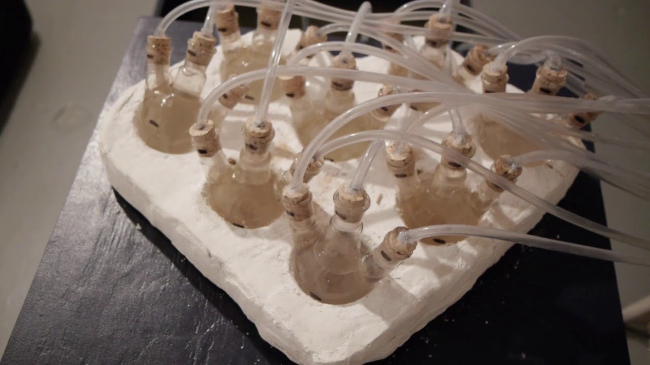 Water Computer 3 - YouTube