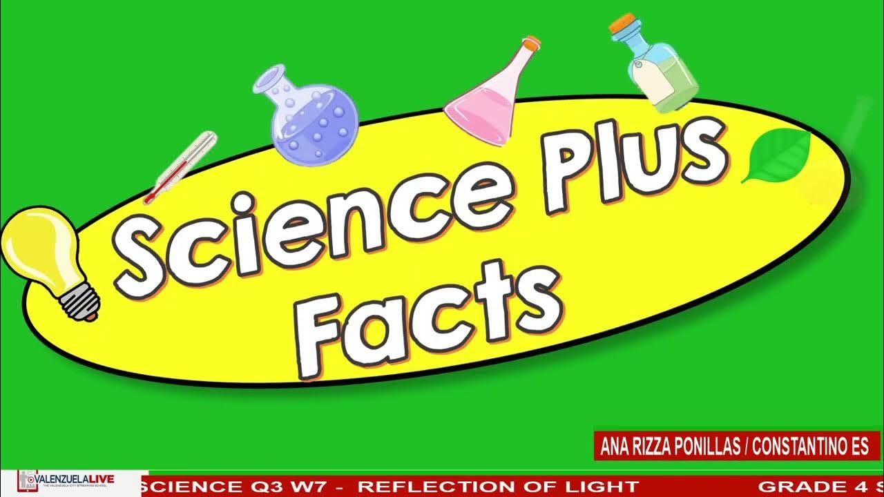 GRADE 4 SCIENCE Q3 W7 REFLECTION OF LIGHT YouTube grade-4-science-q3-w7-reflection-of-light-youtube