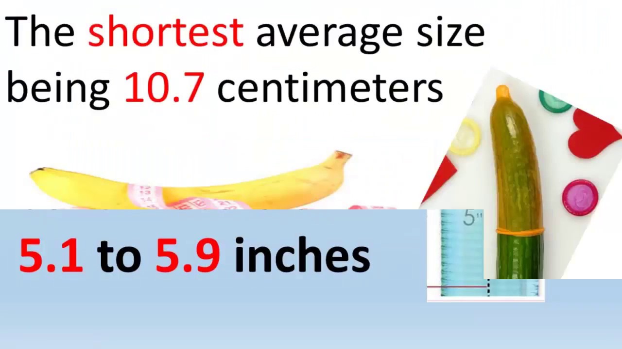 Penis size around the world - YouTube