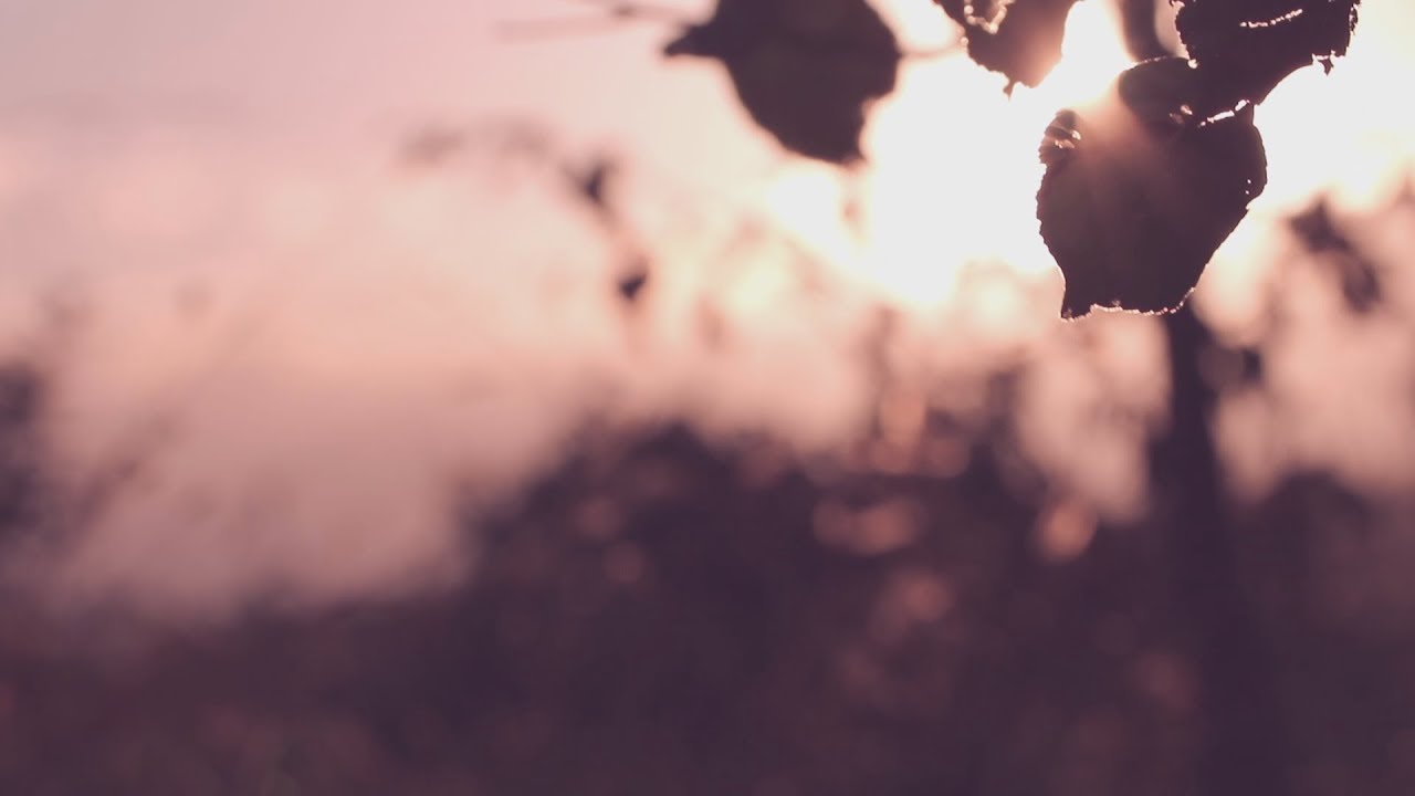 "Wind Scenes" - Music Short Film [Calm Piano] - YouTube