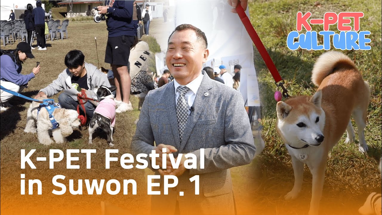 [K-PET Culture EP.1] K-PET Festival in Suwon🐶 Meet trainer Woong-jong ...