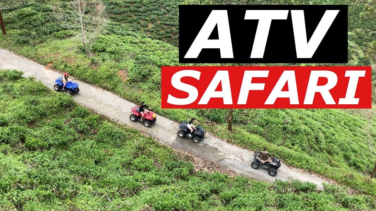 Best ke naik ATV Safari ke Puncak Cameron Tea Valley? | Travelog ...