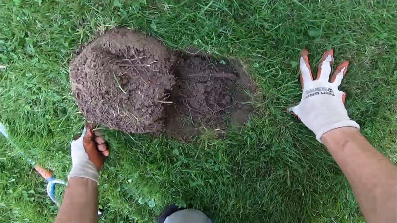 LIVE DIG ACTION!! Deteriorating signals through deflection from roots and rocks. - YouTube