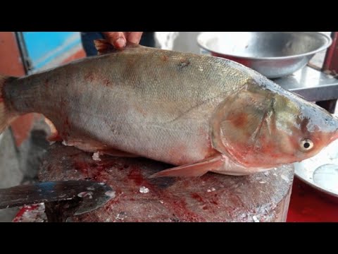 Amazing Big Silver Fish Cutting Live in Fish Market Pakistan | Fish ...