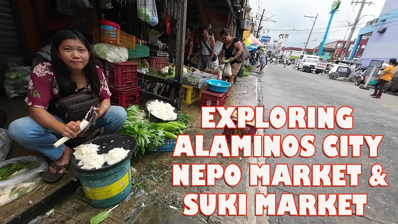 Exploring Alaminos City Nepo Market And Suki Market | Walk Tour At ...