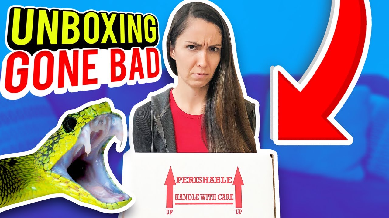 Surprising Wife With Dream Reptile LMAO!!! - YouTube