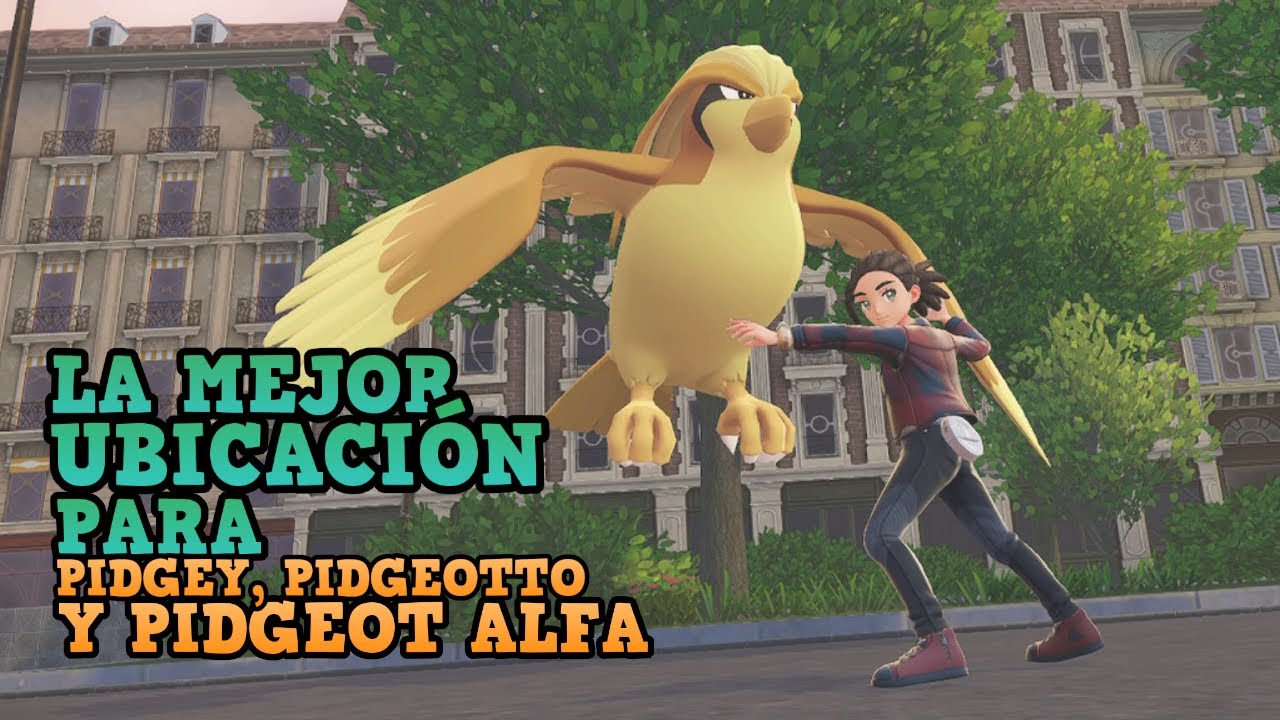 PIDGEY, PIDGEOTTO Y PIDGEOT ALFA La Mejor Ubicación Para Forzar Su ...