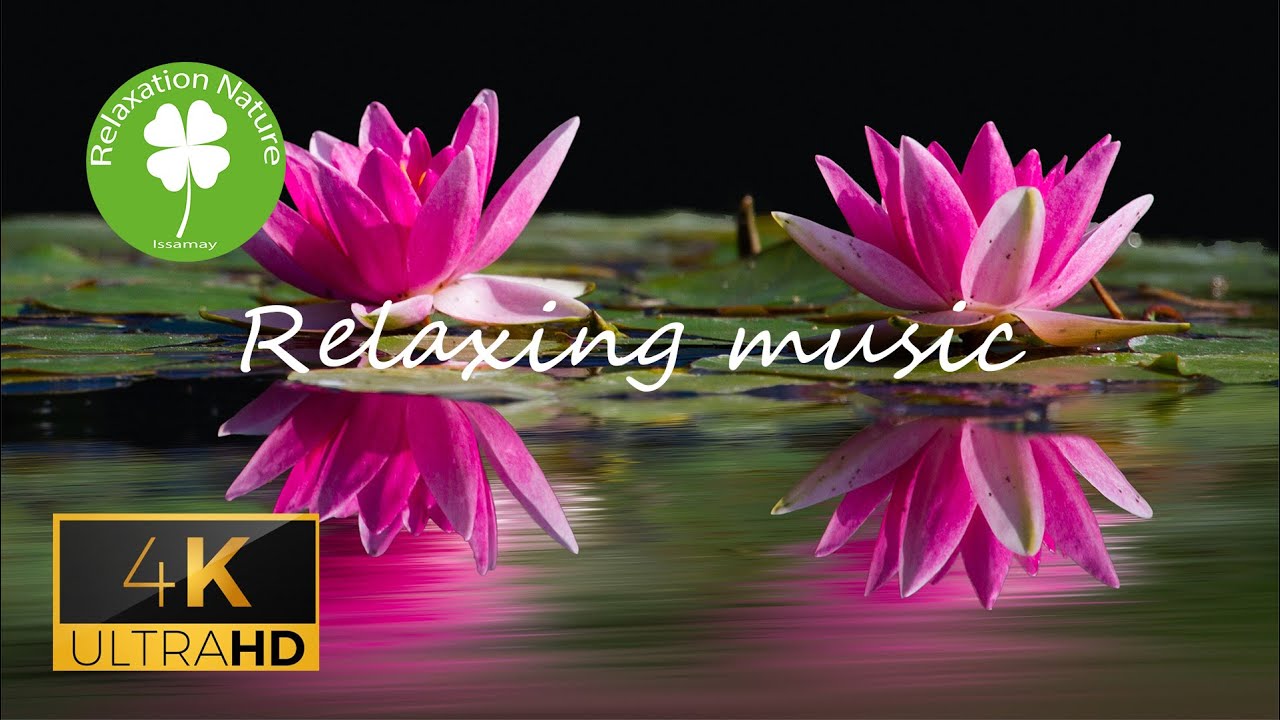 Relaxing music🎶 with wonderful nature🍀, meditation, stress relief ...