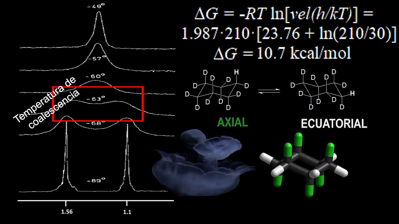 RMN dinamica 2. Aprende RMN conmigo - YouTube