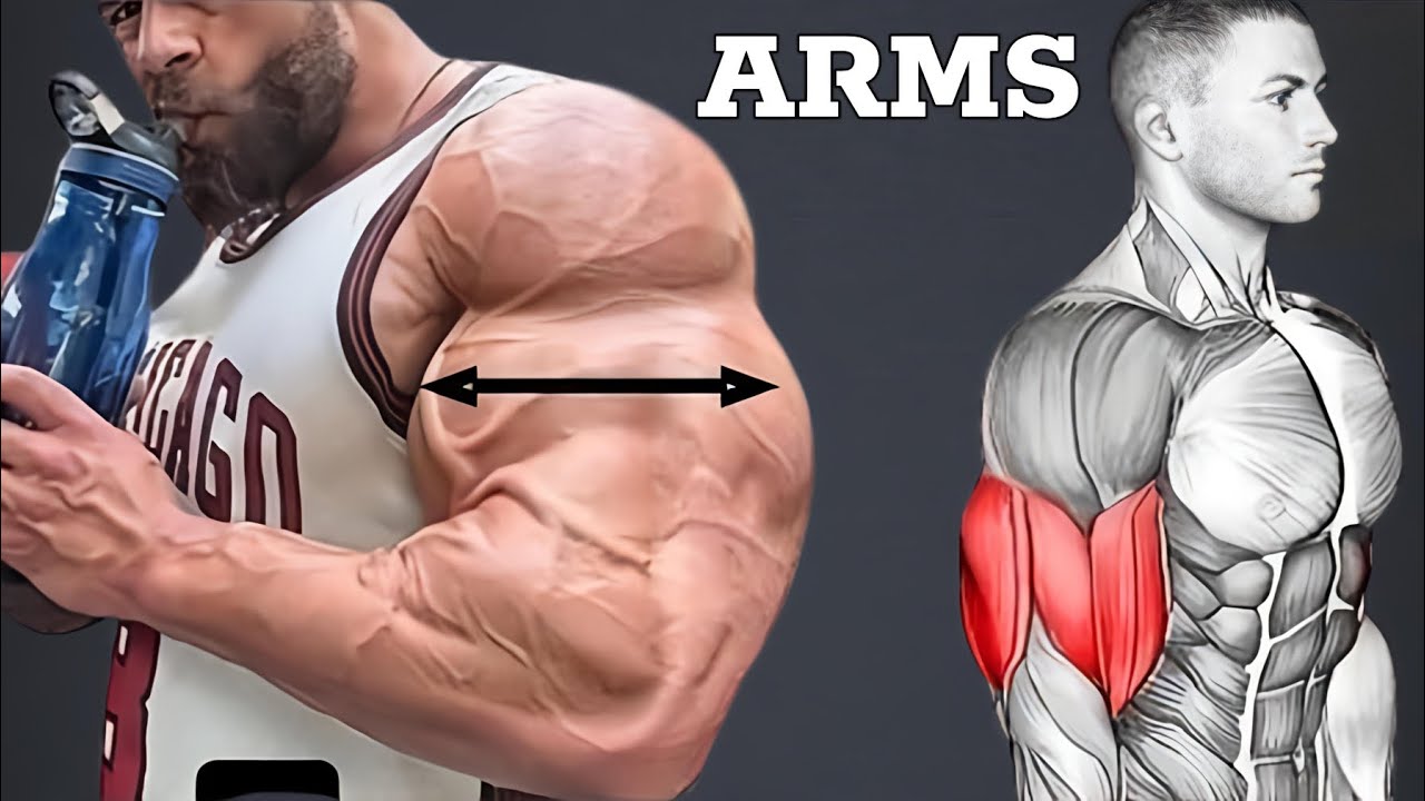 6 Best Arms Workout at Gym - Biceps and Triceps - YouTube