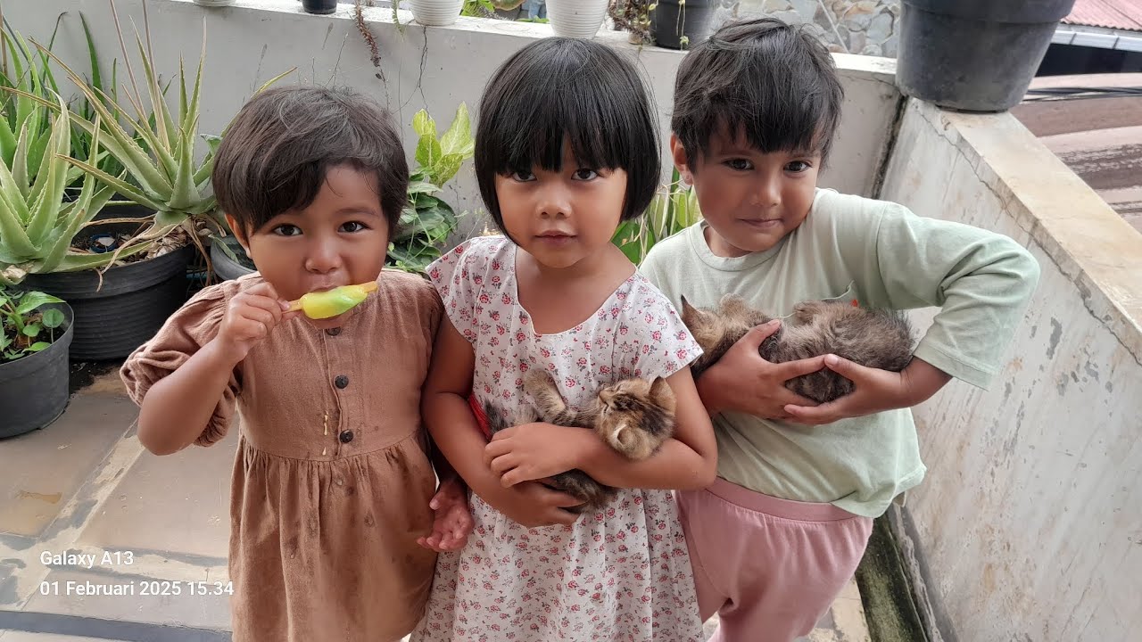 EMBUN MAIN SAMA MARYAM DAN MEDINA, GENDONG ANAK KUCING LUCU - YouTube