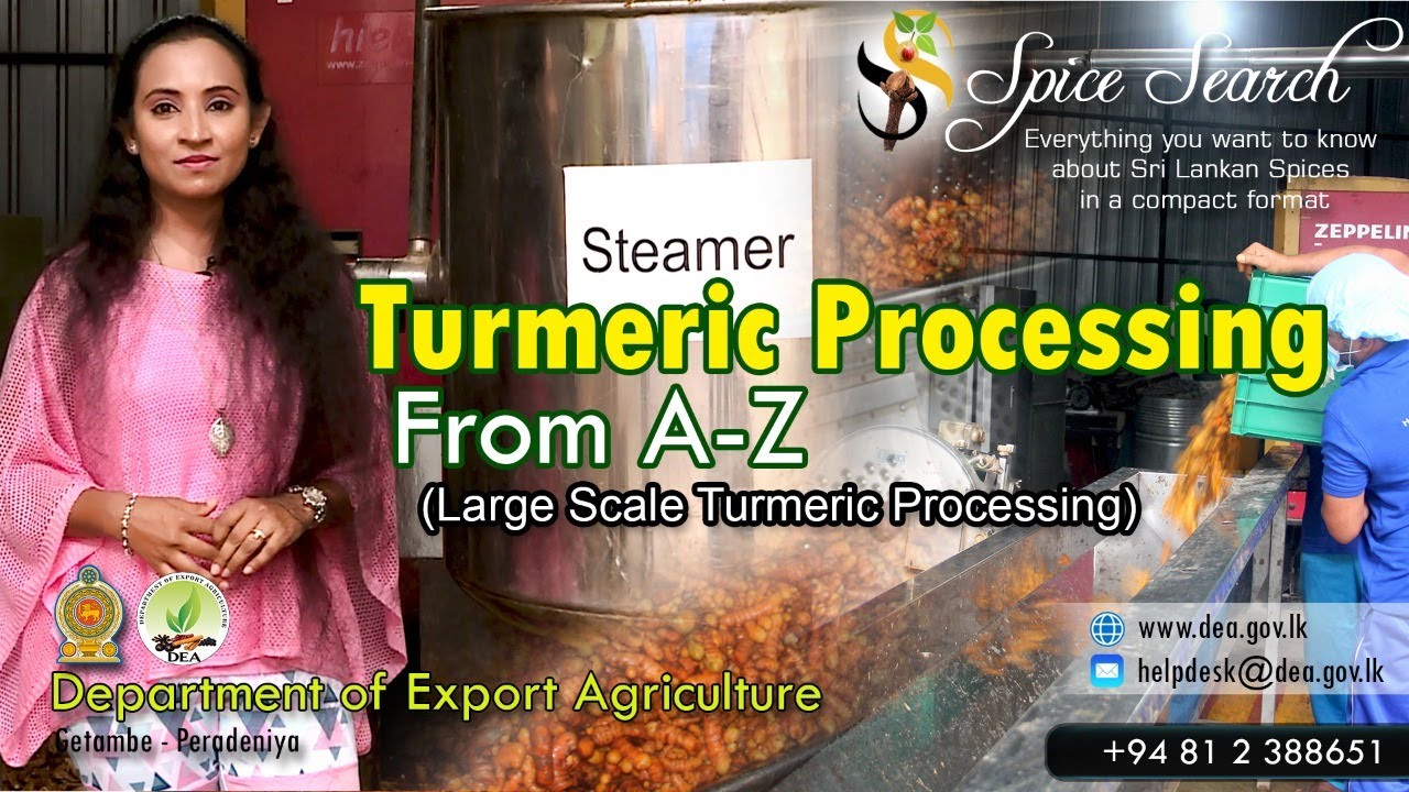 Turmeric processing A-Z (Large Scale) - YouTube