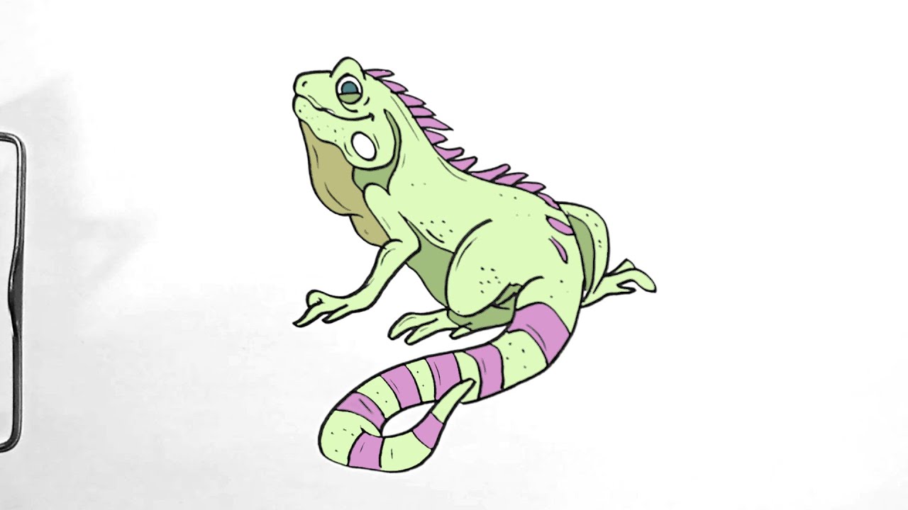 How to Draw IGUANA Step by Step - YouTube