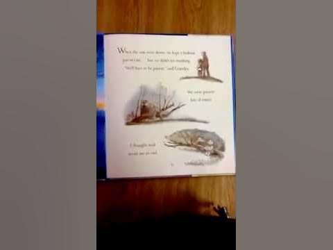 White Owl, Barn Owl - YouTube