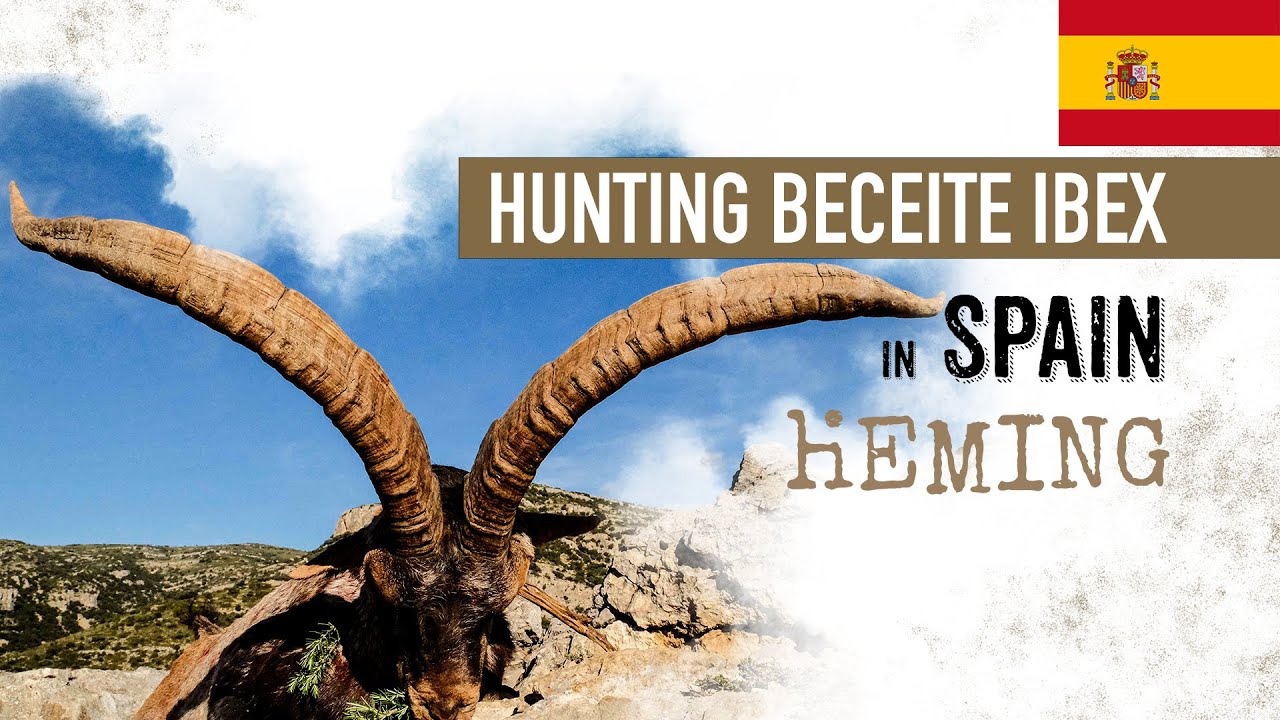 Hunting Beceite Ibex in Spain | Gold medal Billy 🥇 - YouTube