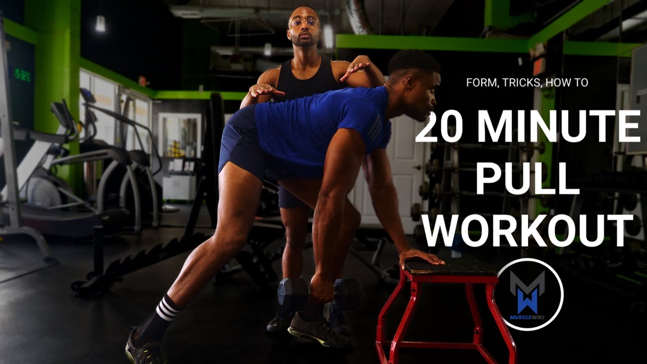 Ultimate Pull Workout: Dumbbell Rows, Rear Delt Fly, & More! | Push ...