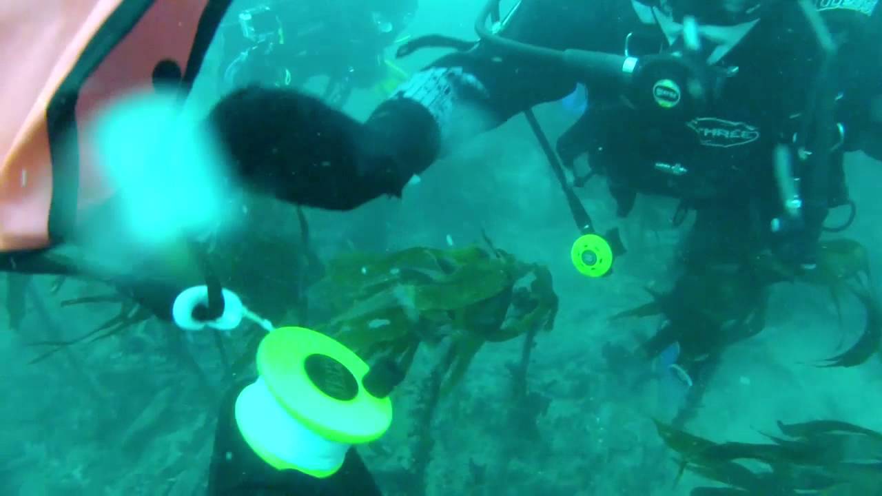 First Person DSMB Deployment - YouTube