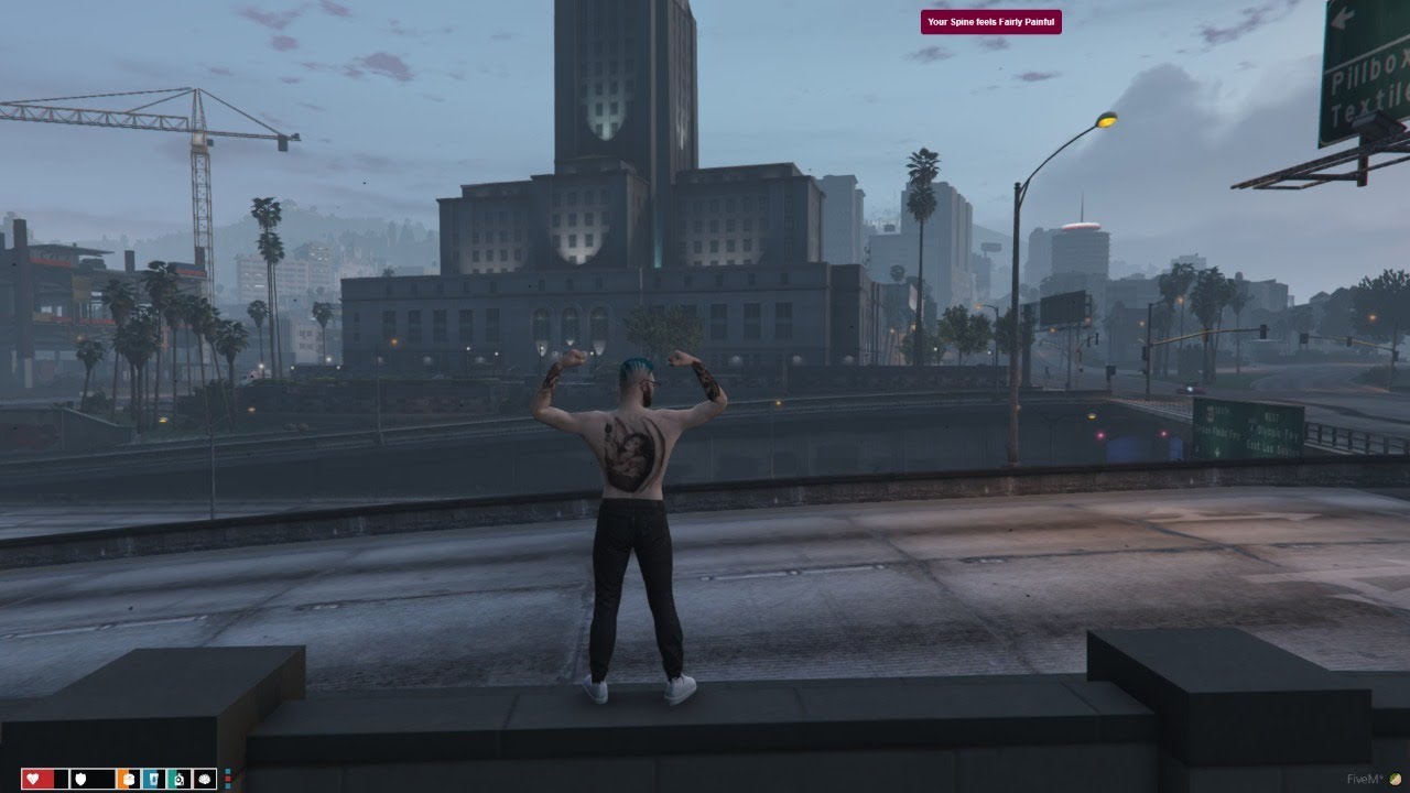 ZARA FLEX KARE | SUBVERSION WL INDIA..GTA 5 RP LIVE INDIA - YouTube