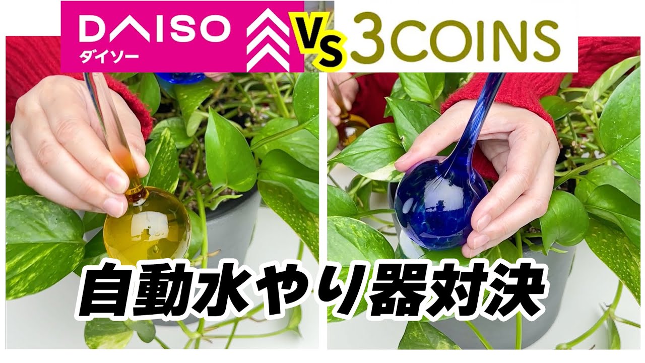 ダイソー vs 3coins 自動水やり器対決！ - YouTube