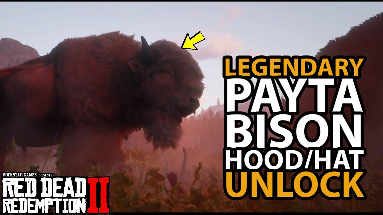 *NEW* Legendary Payta Bison Hood/Hat Unlock in Red Dead Online - YouTube