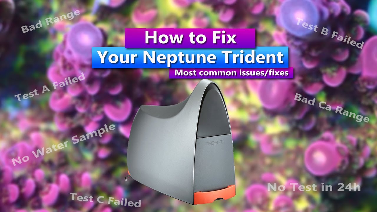 Fix your Neptune Trident - Common Errors/fixes - YouTube