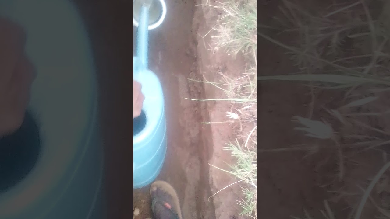 1 Plumbing testing sewer pipe flow video 1 - YouTube